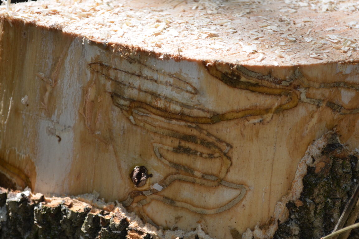 News & Resources | Hoosier Energy