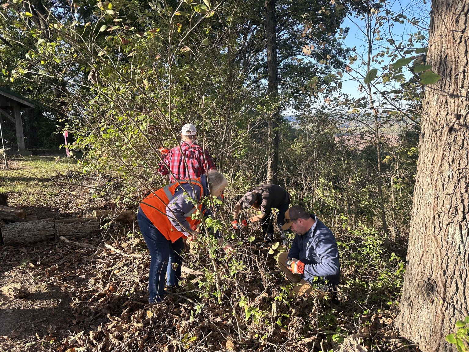 Cooperatives come together for Community Day 2024 - Hoosier Energy